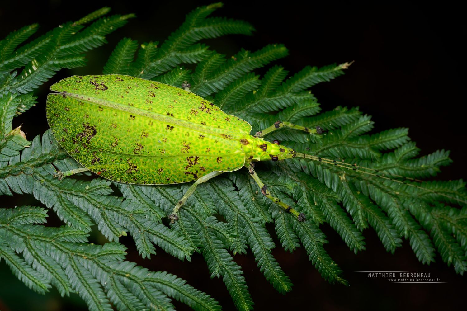 Test du Sony a7III – 2ème partie : 15 jours en Asie du Sud-Est ...