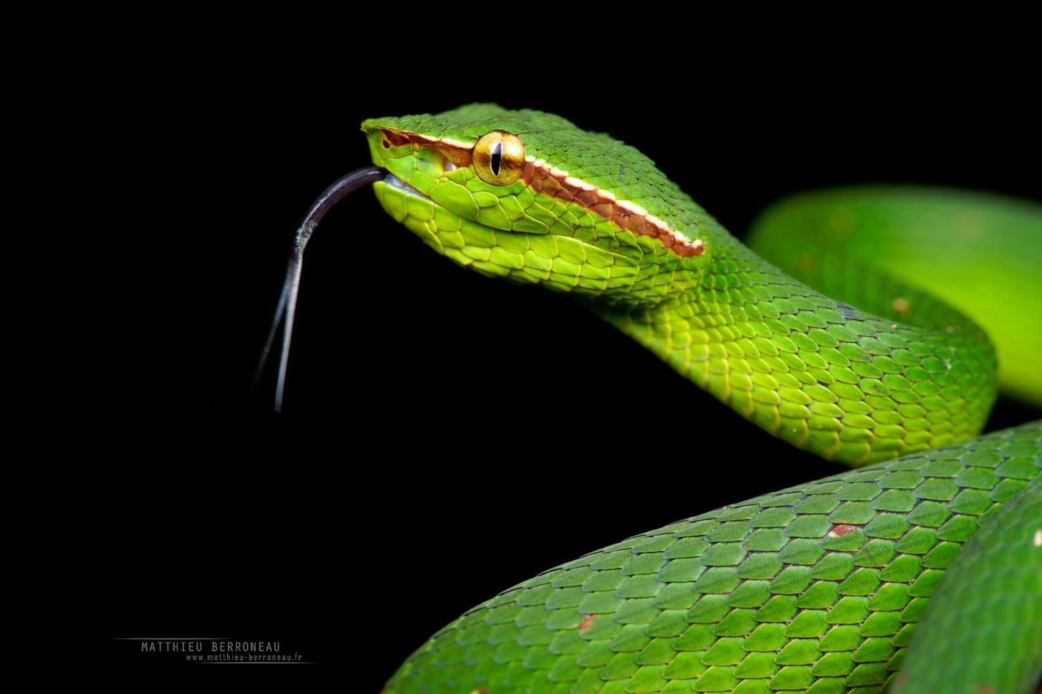 Test du Sony a7III – 2ème partie : 15 jours en Asie du Sud-Est ...